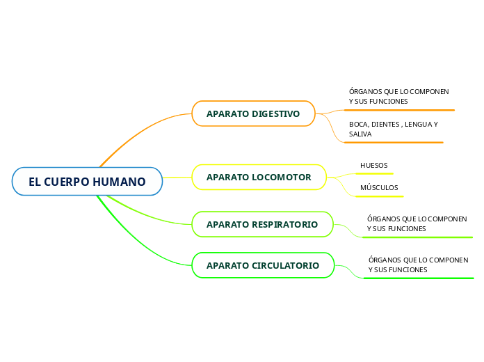 EL CUERPO HUMANO - Mind Map